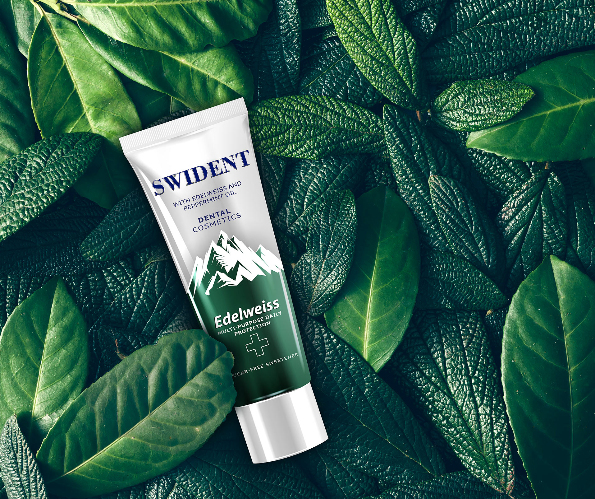 Raise your expectations – SWIDENT